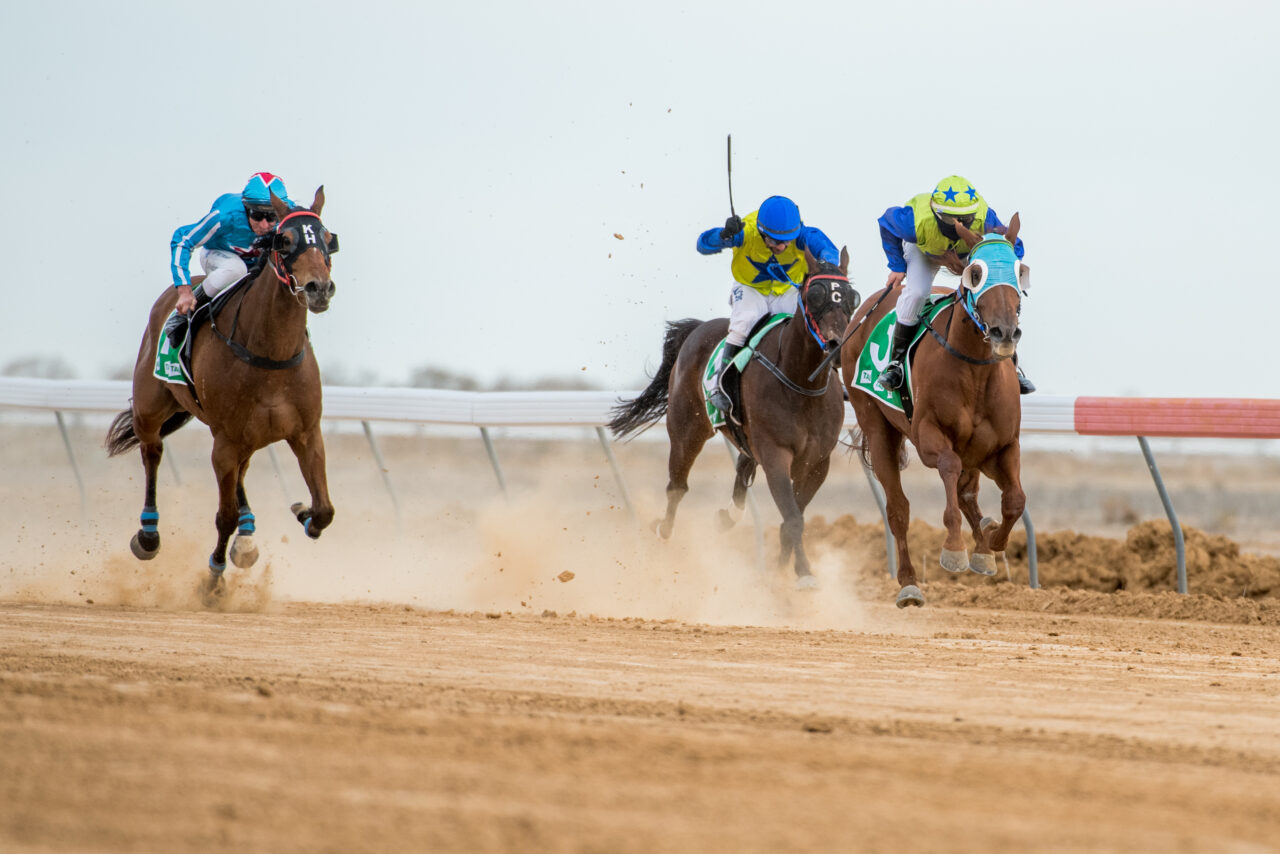 RECORD $300,000 PRIZE MONEY FOR BIRDSVILLE RACES September 1 & 2, 2023 ...