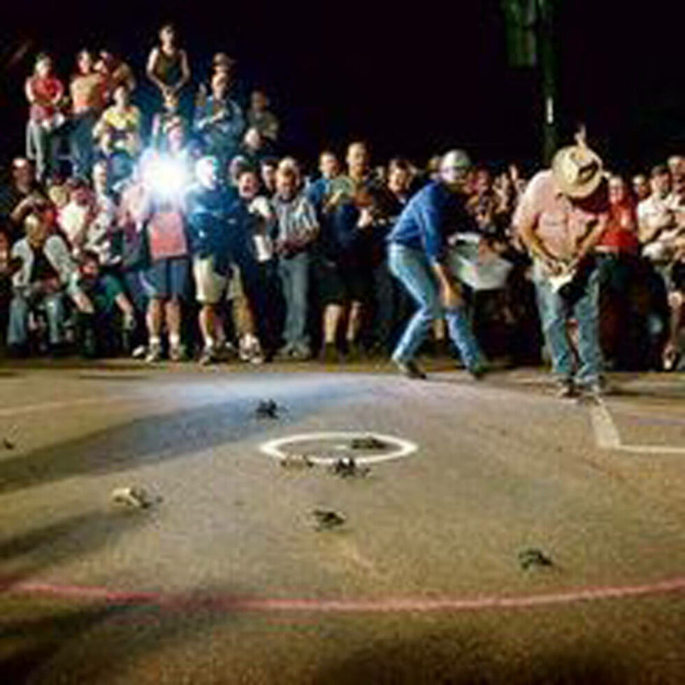 Official Roadies Hubs - 2025 – Birdsville Races